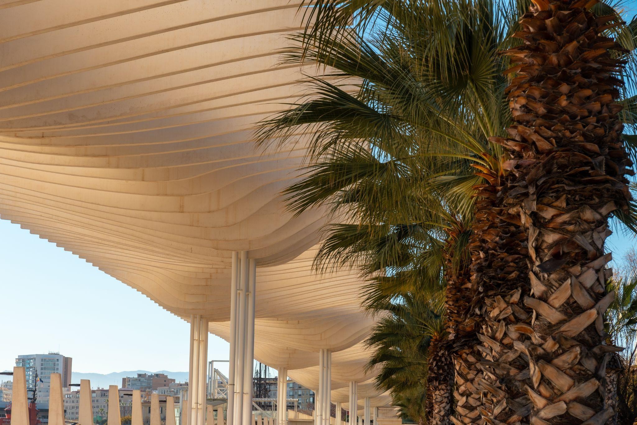 Choosing the Right Shade Solution for Your Space | ShadePro